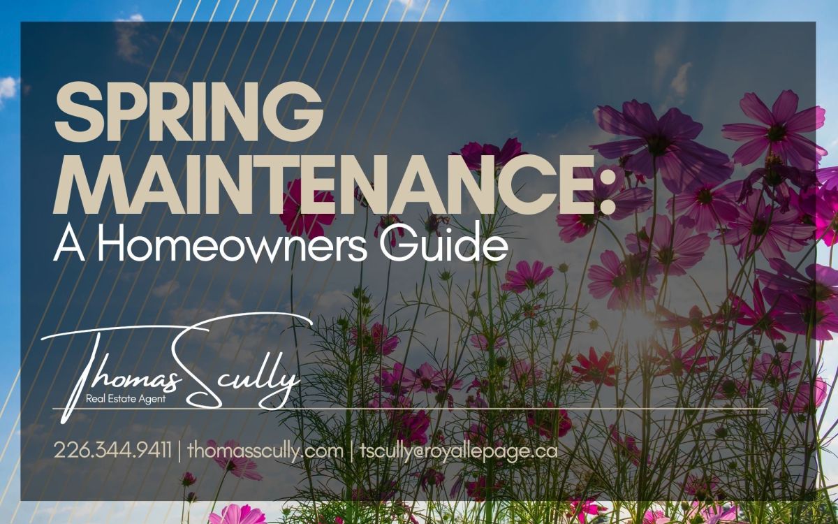 Homeowner Spring Maintenance Tips – Thomas Scully, Real Estate Agent